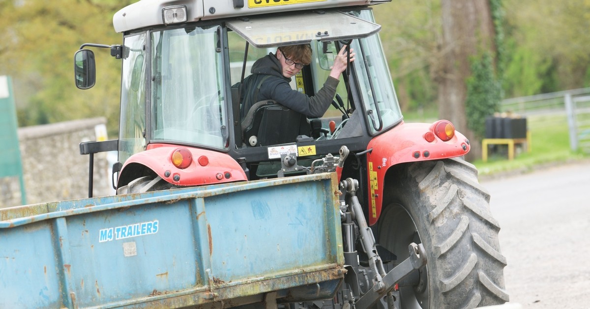 Gelli Aur Farm | Coleg Sir Gâr