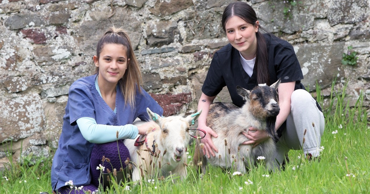 Animal Science & Equine | Coleg Sir Gâr