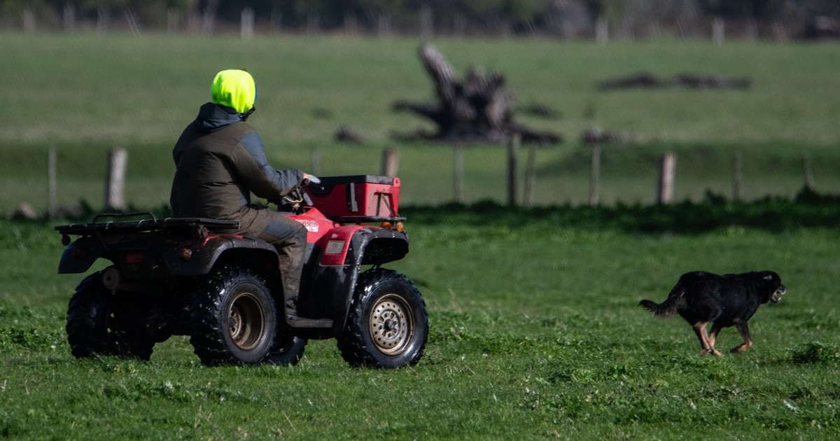 Sit-Astride ATV's (Novice) | Coleg Sir Gâr